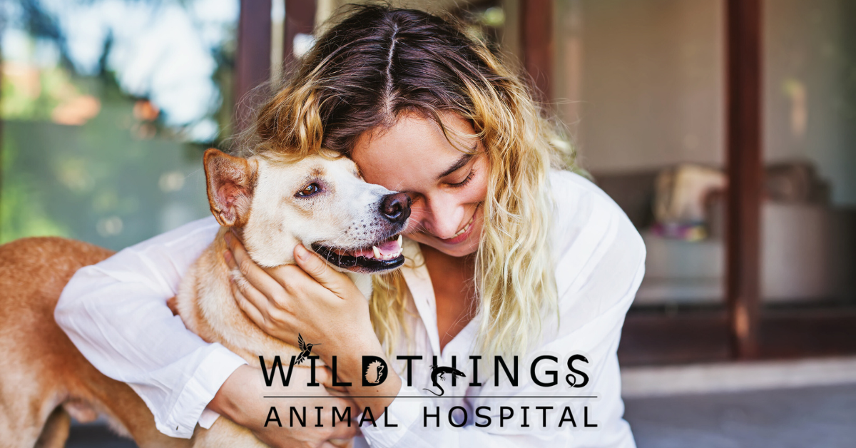 “Emergency Care for Pets: Your Essential Guide to Urgent Pet Health Situations - Wild Things ...